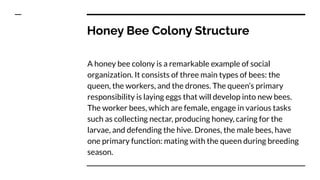 The Vital Role of Honey Bees in Our Ecosystem.pdf