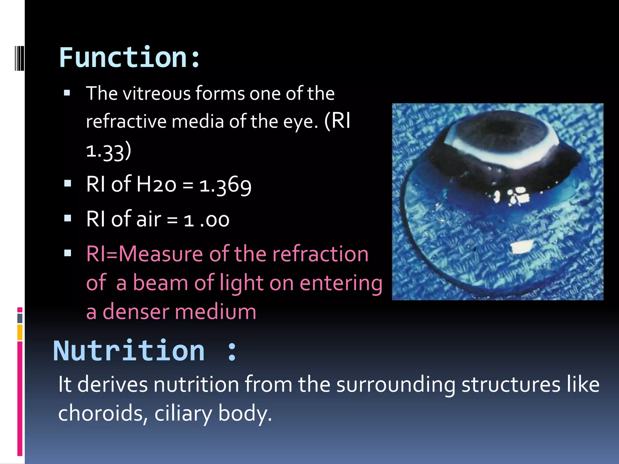 The vitreous for undergraduate | PPSX