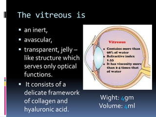 The vitreous for undergraduate | PPSX | Eye and Vision Conditions ...