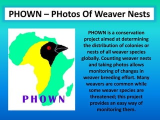 The Projects of The Virtual Museum | PPT