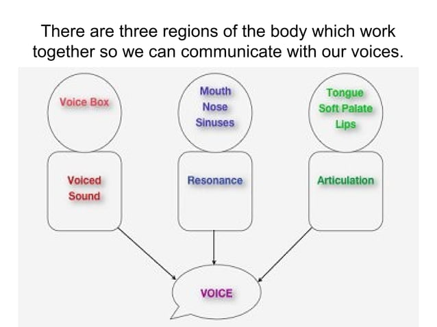 The Vocal Mechanism | PPT