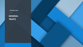 The Voice Interface Revolution | PPT