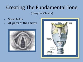 The voice powerpoint | PPT