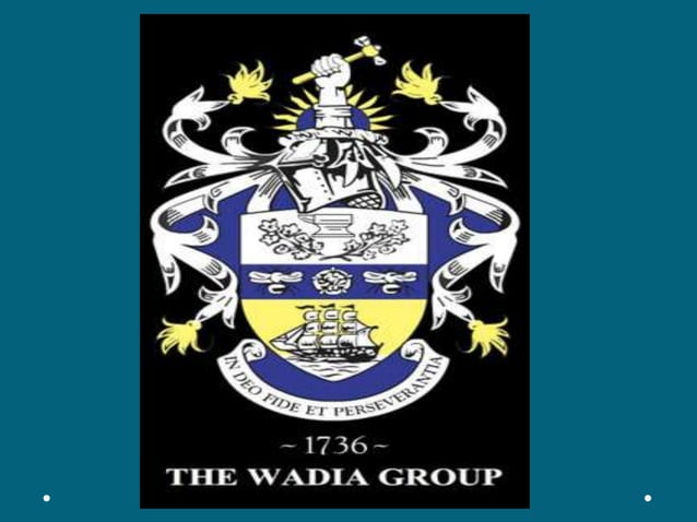 The wadia group | PPTX | Air Travel | Travel Type
