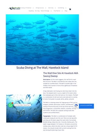 The Wall dive site Havelock Island, Andamans | PDF | Free Download