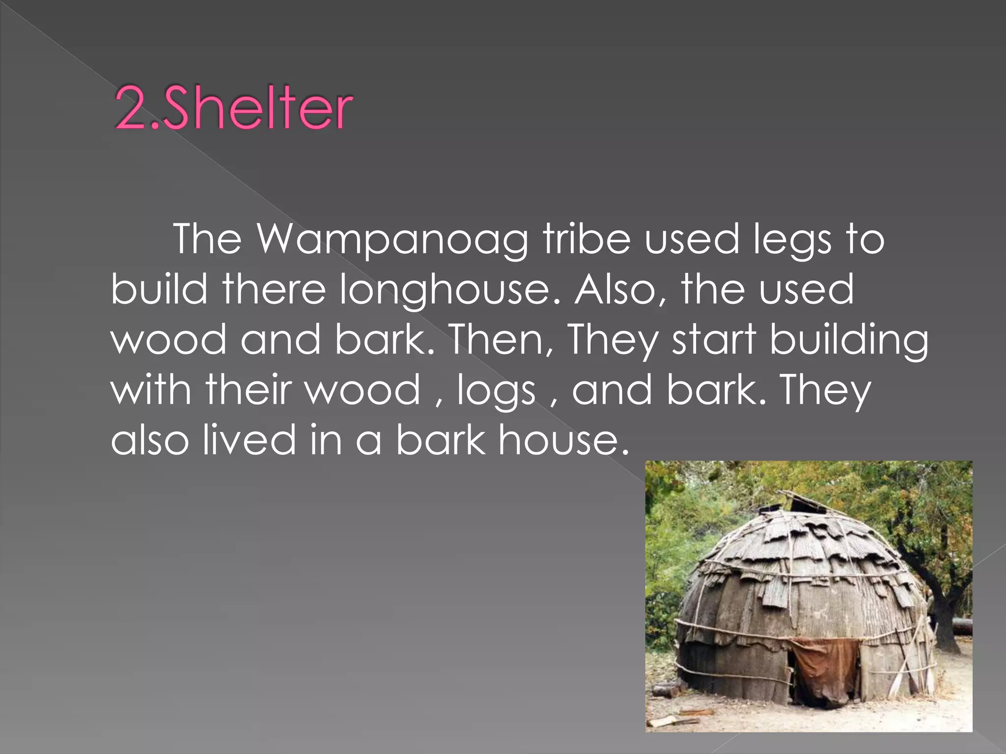 The wampanoag ashley | PPT