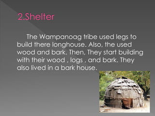 The wampanoag ashley | PPTX