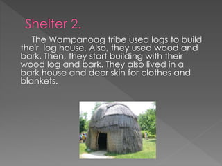 The wampanoag tribe jazel | PPTX
