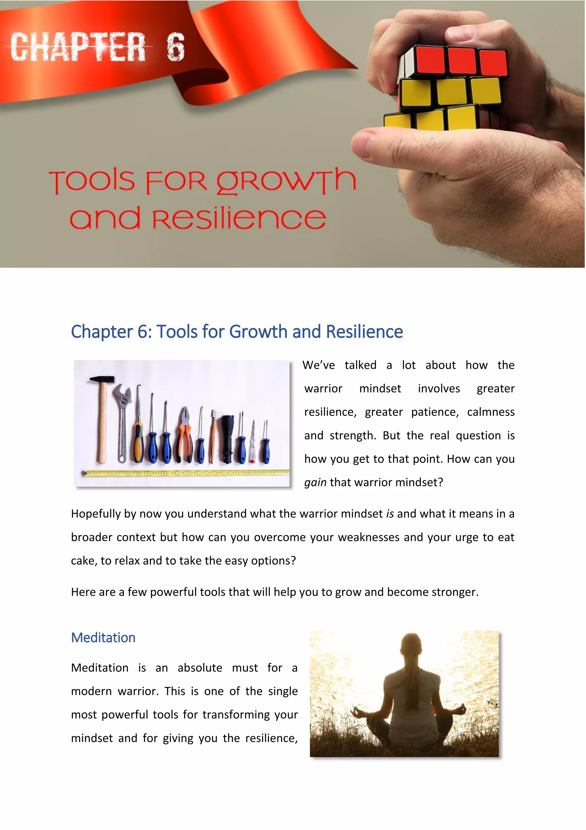 The warrior mindset | PDF