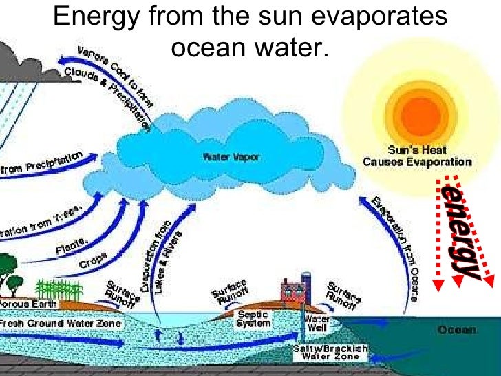 The Water Cycle