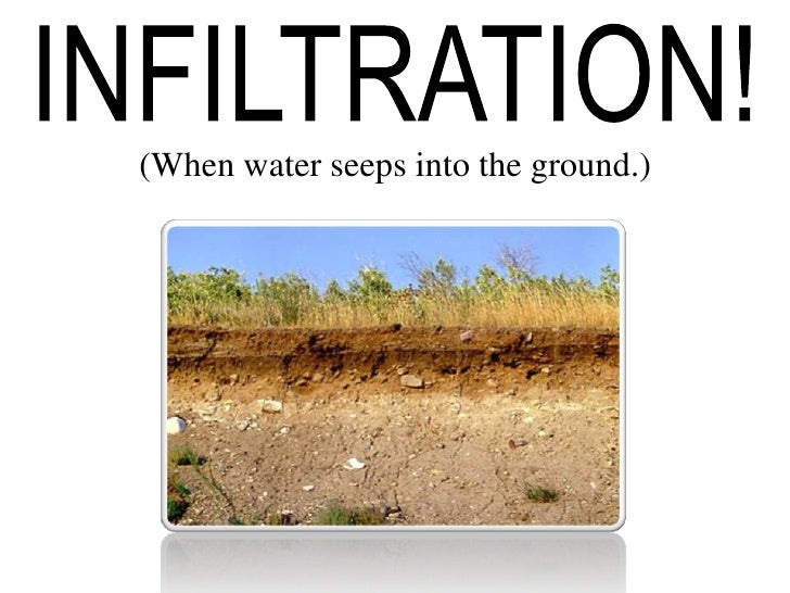 Infiltration Water Cycle Definition Water Ionizer