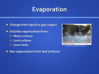 The Water Cycle | PPTX