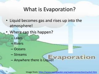 The water cycle | PPTX