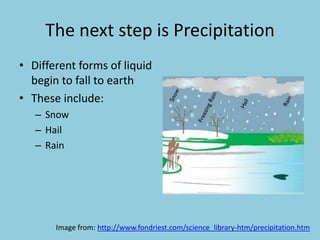 The water cycle | PPTX | Weather | Science