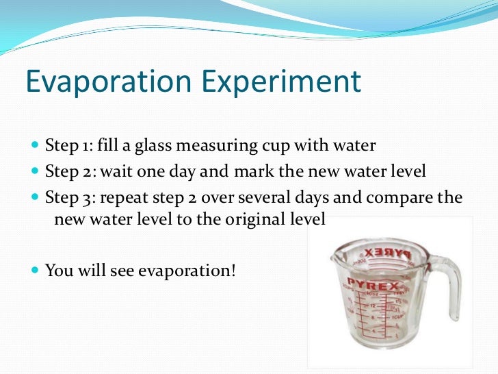 Evaporation Of Water In A Cup Transparent Glass Cup With Swell The