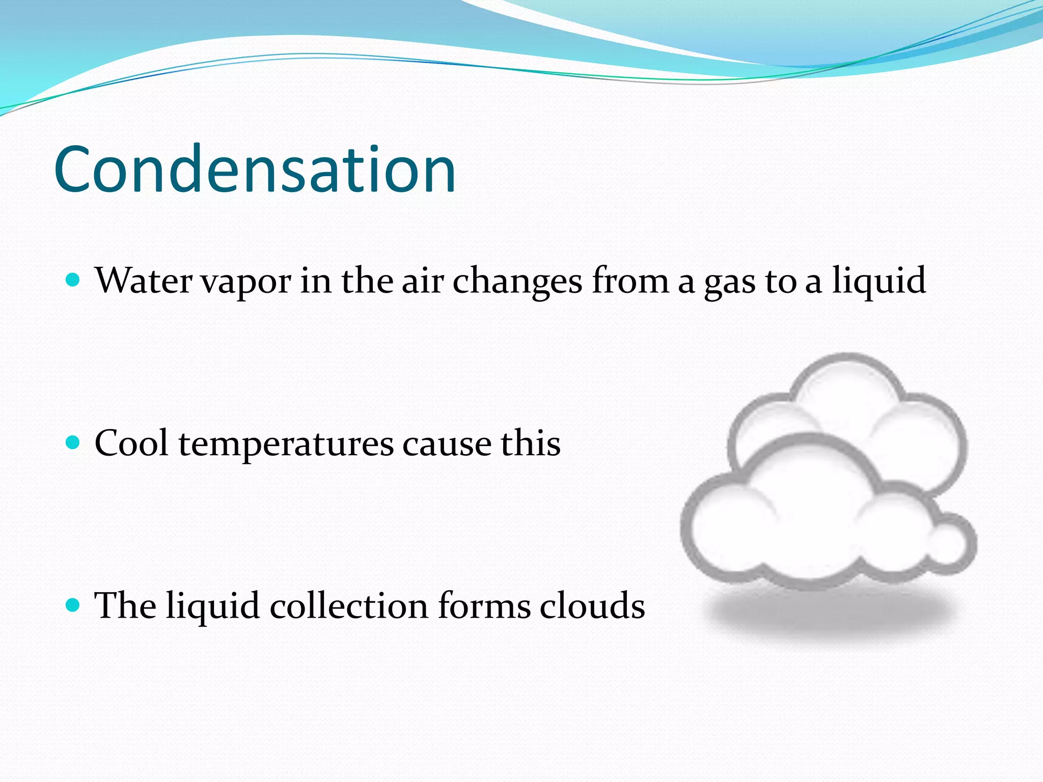 The water cycle | PPTX