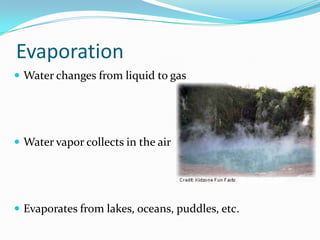 The water cycle | PPTX