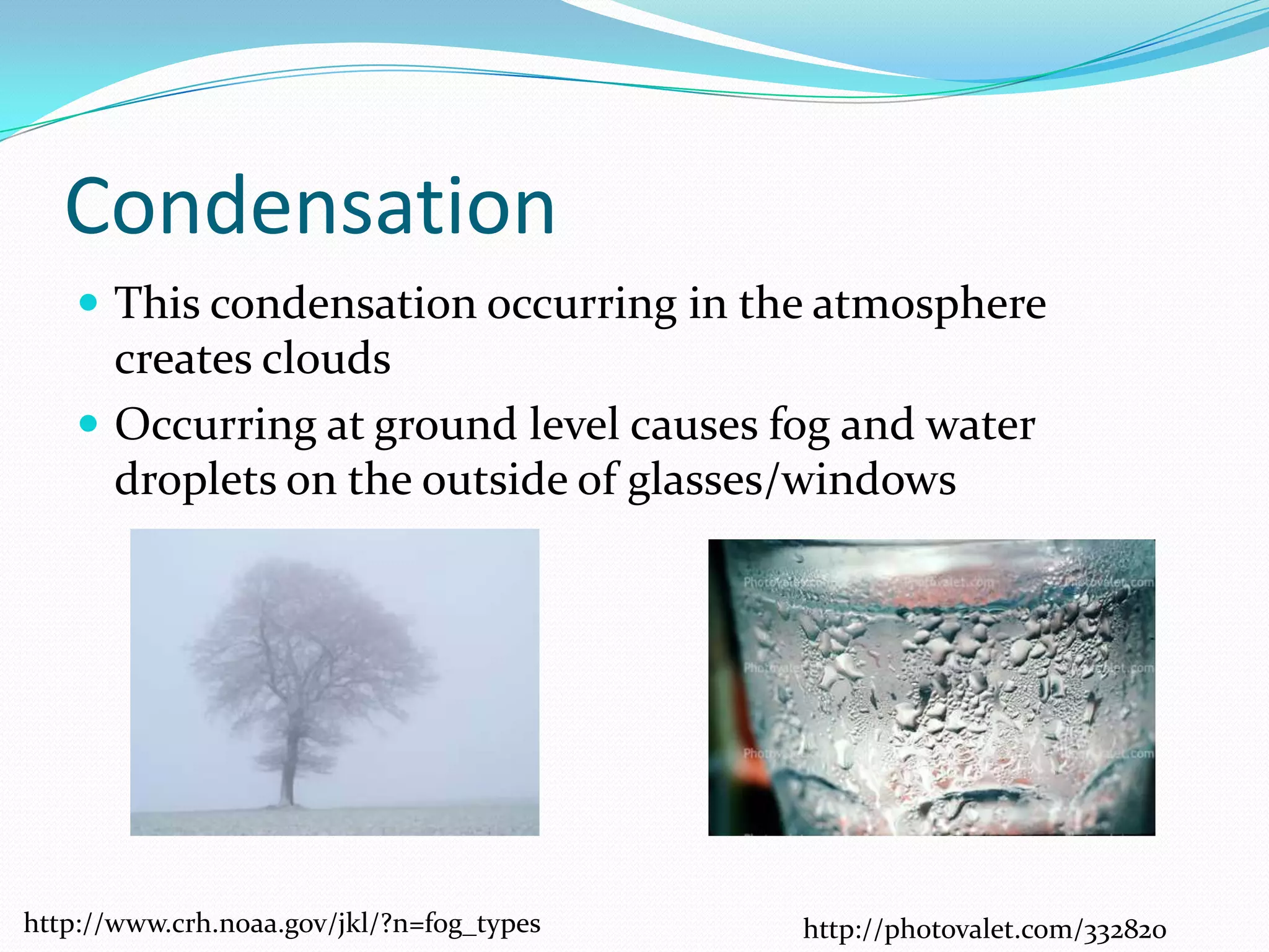 The water cycle | PPTX