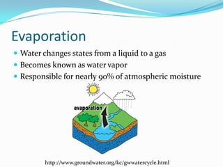 The water cycle | PPTX
