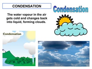 The water cycle | PPT