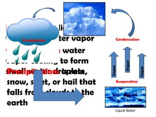 The water cycle | PPT