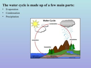 The water cycle | PPT