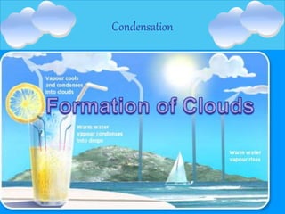 The water cycle | PPTX