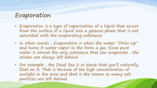 The water cycle | PPTX