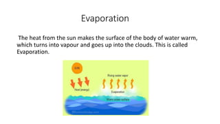 The water cycle | PPTX