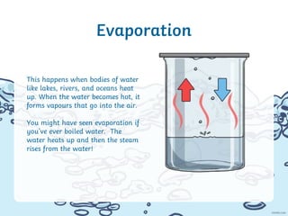 The Water Cycle | PPT