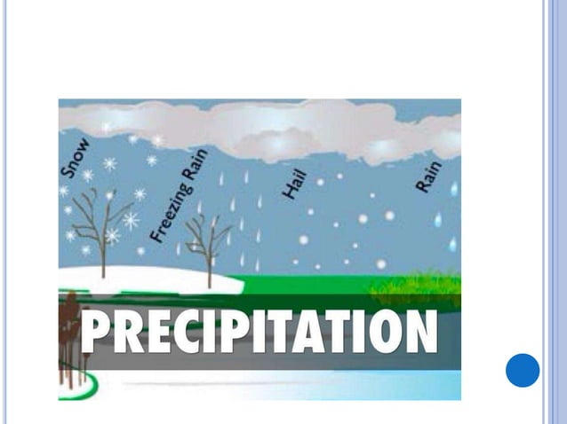 The water cycle | PPT