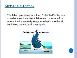 The water cycle | PPT
