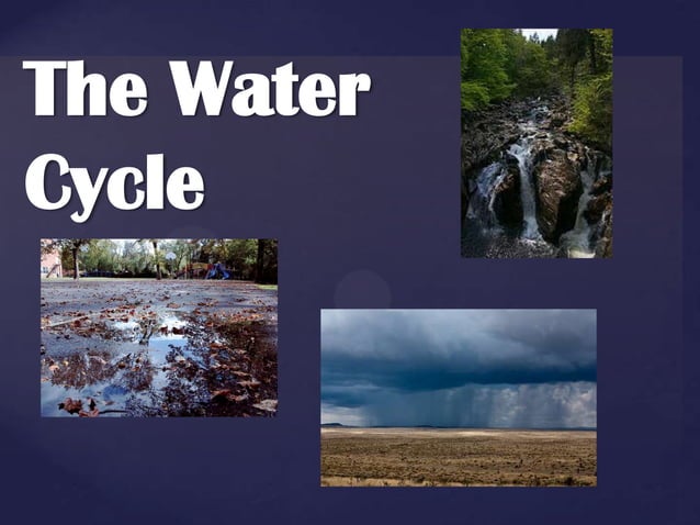 The water cycle powerpoint | PPTX