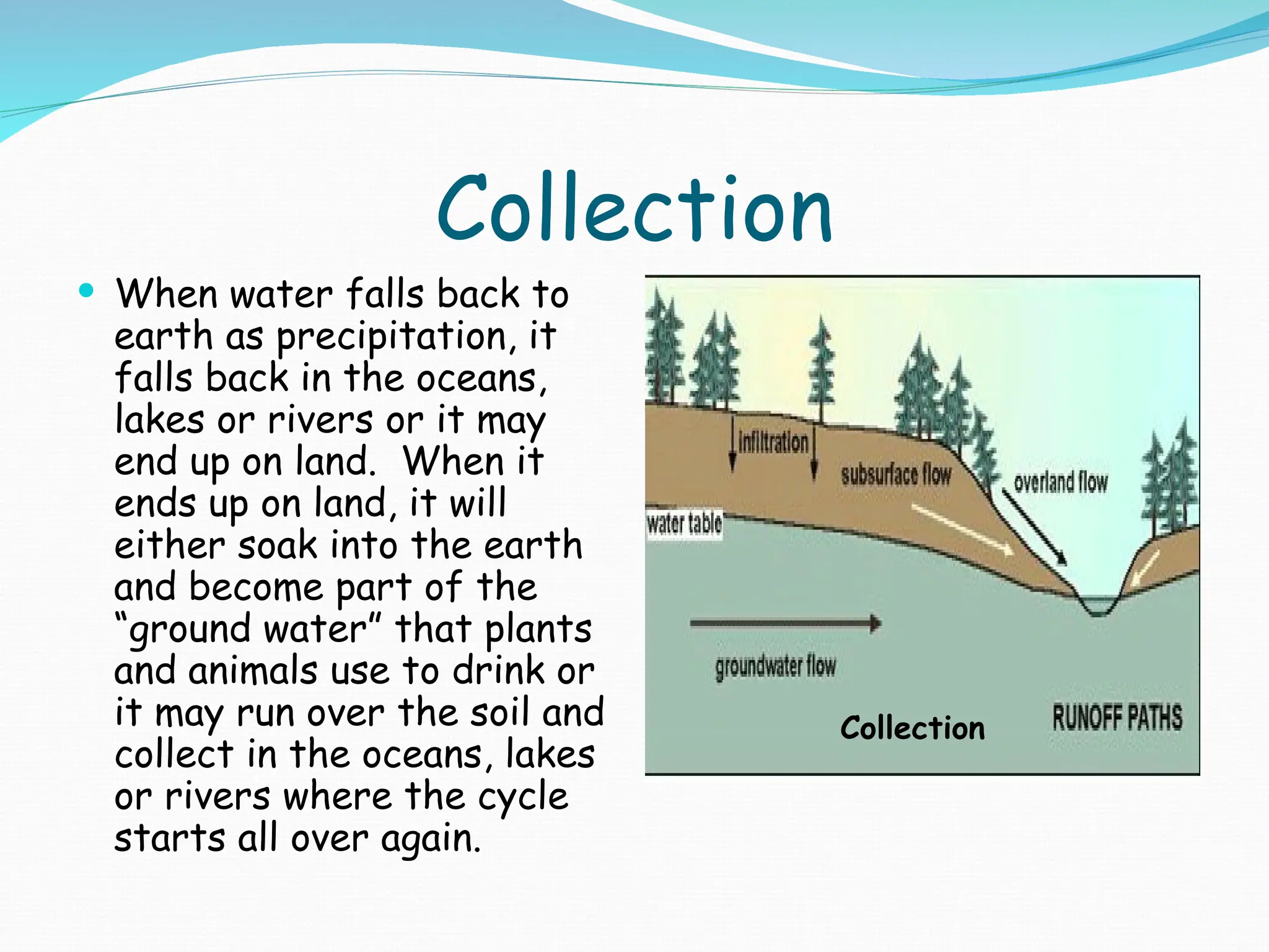 The Water Cycle PowerPoint runoff and precipitation.ppt