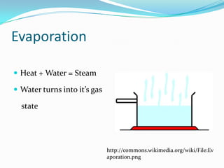 The water cycle | PPTX | Chemistry | Science