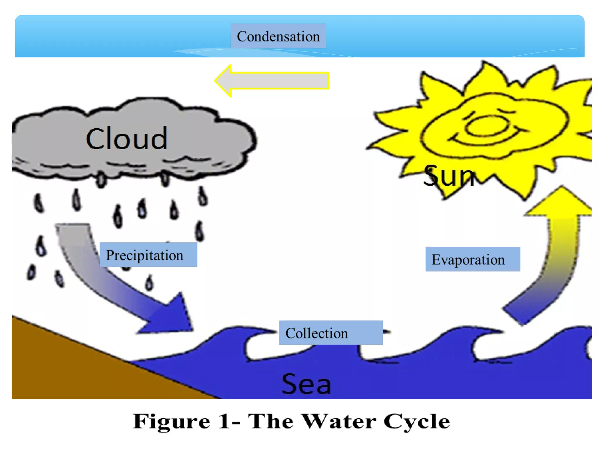 The water cycle ppt | PPT