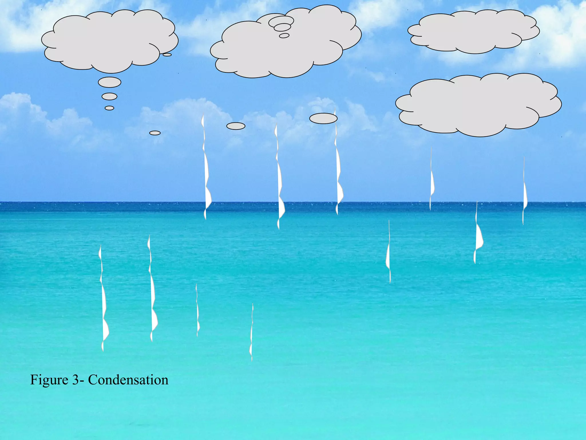 The water cycle ppt | PPT