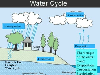 The water cycle ppt | PPT