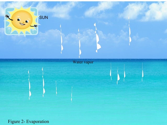 The water cycle ppt | PPT