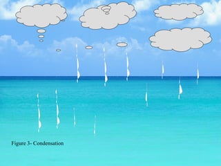 The water cycle ppt | PPT