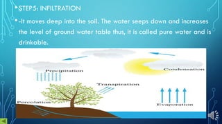 The water cycle_process_2.0[1] | PPT