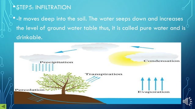The water cycle_process_2.0[1] | PPT