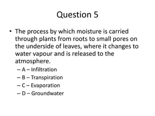 The water cycle quiz | PPTX