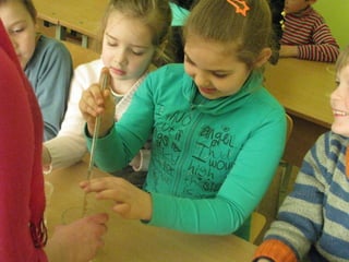 The water drop story | PPT