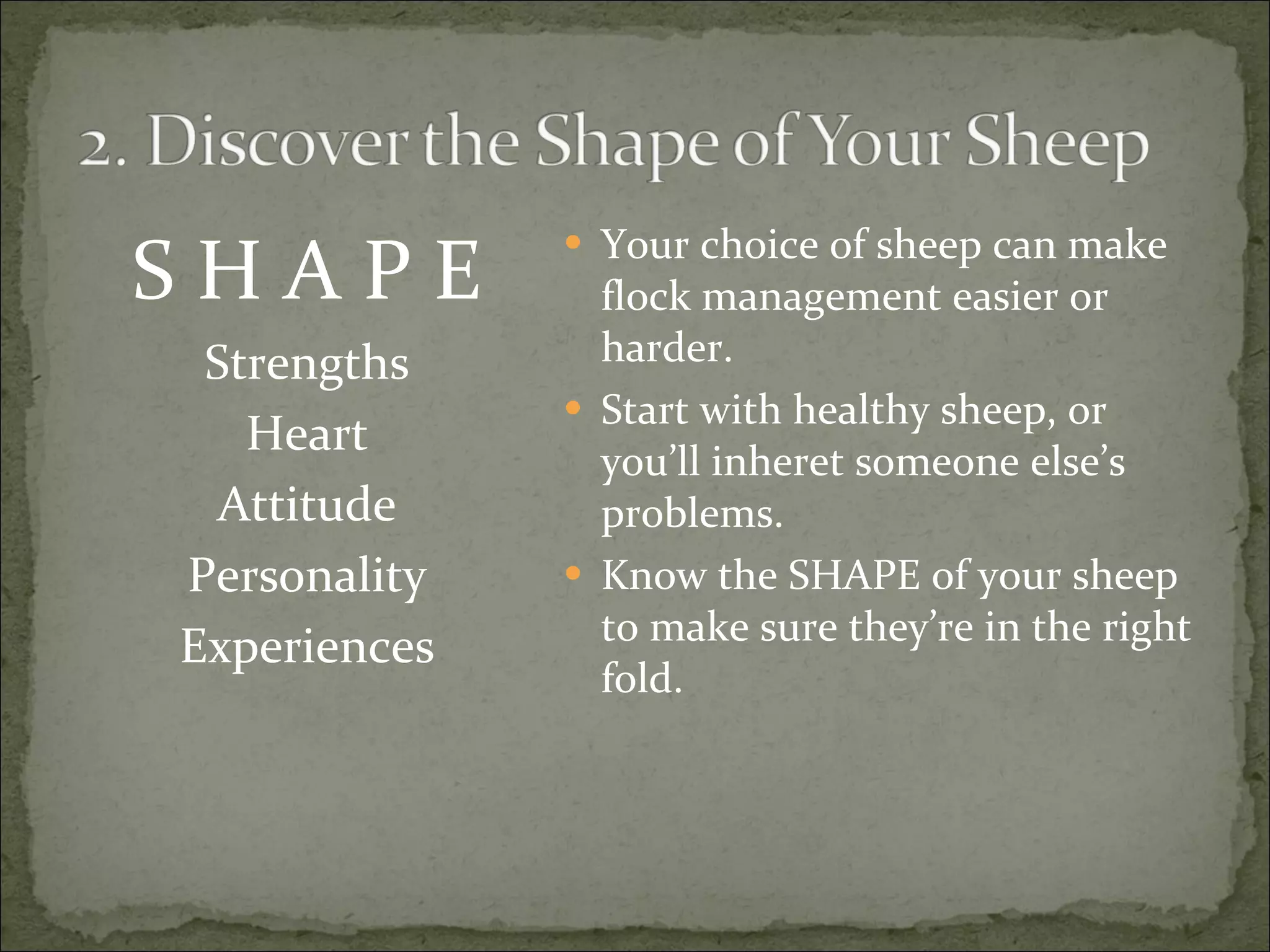 The Way of the Shepherd | PPT