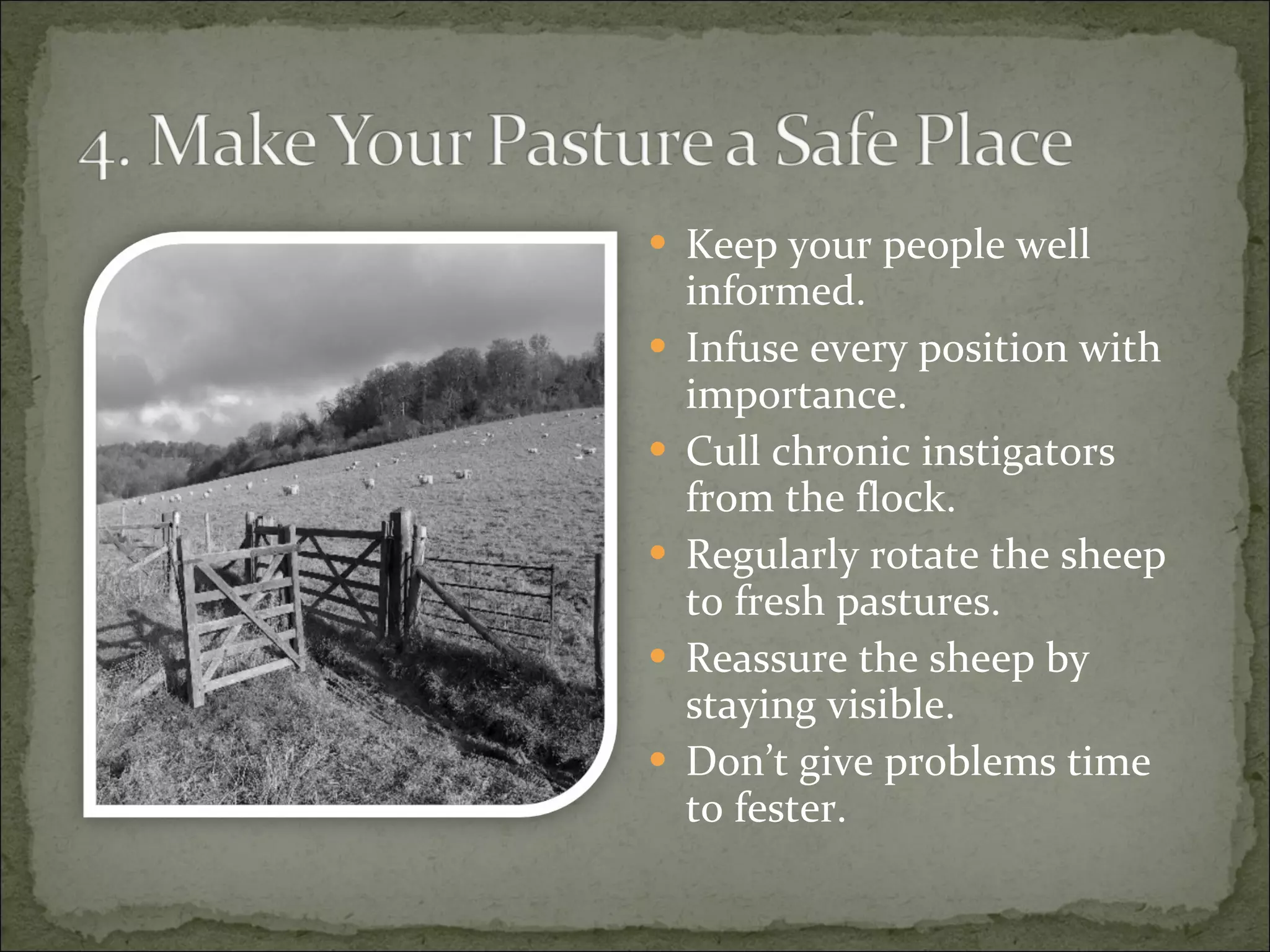 The Way of the Shepherd | PPT