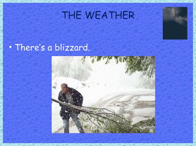 The weather | PPT