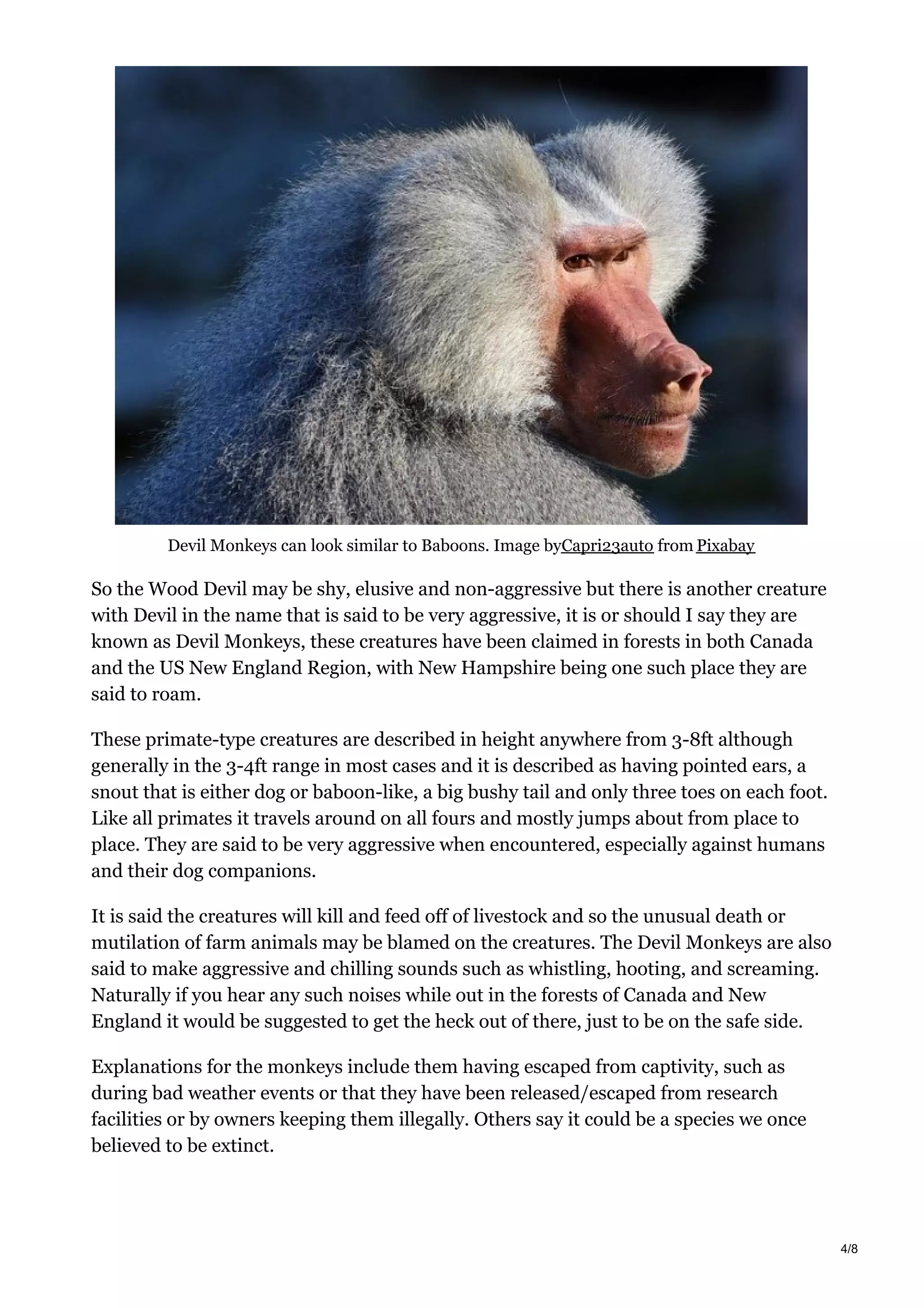 Mysterious New Hampshire, Wood Devil, Devil Monkeys and Hidden Water Serpents | PDF