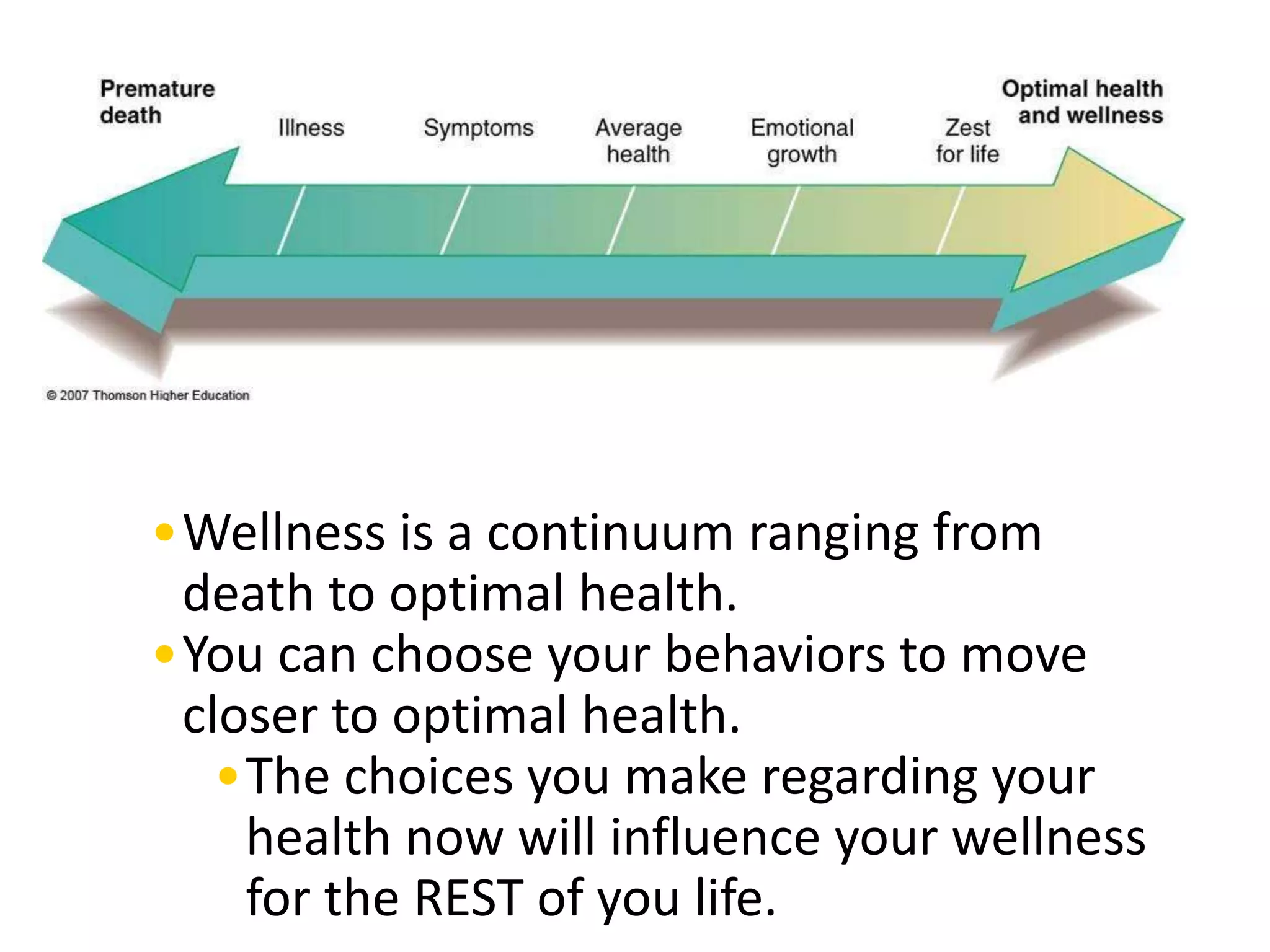 The Wellness Triangle | PPTX
