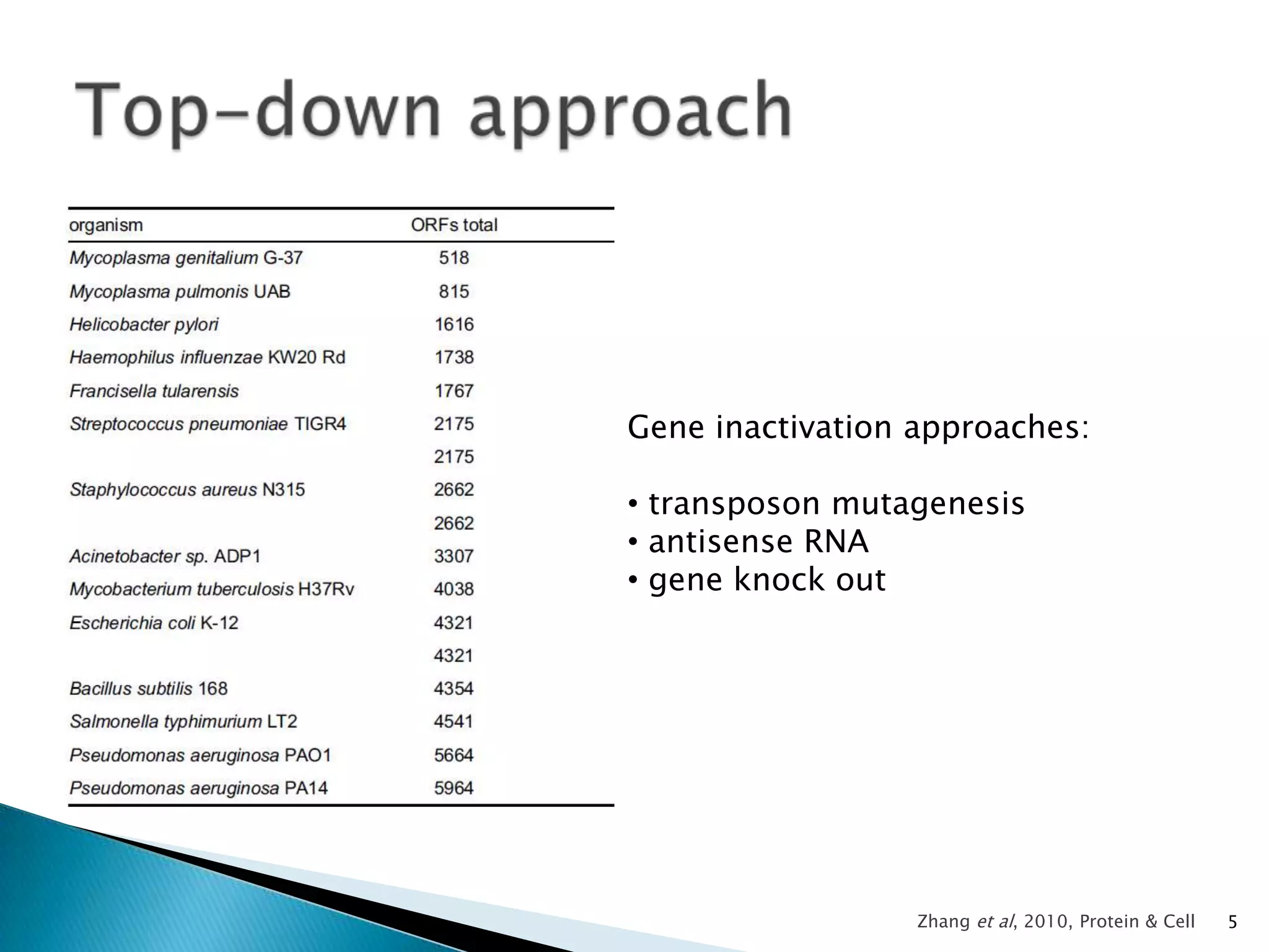 The white box model | PPTX | Biological Sciences | Science